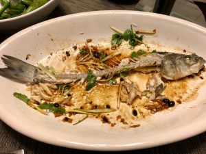 Main Course – The Hungry Athlete